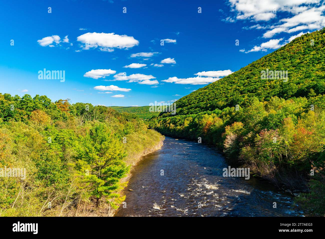 This stunning landscape features a mountain range surrounded by lush ...