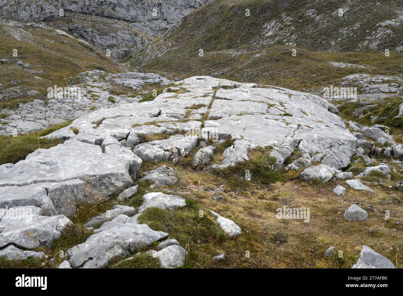 Drumlin of glacial origin formed on limestone. This photo was taken in ...