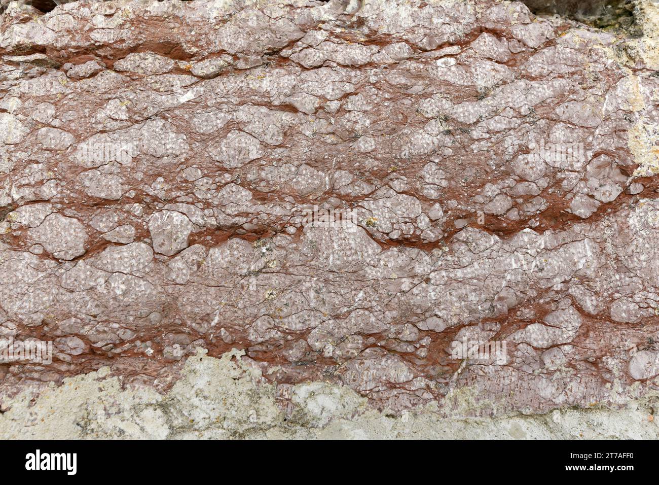 Limestone bloks with boudinage. This photo was taken in Lois church ...
