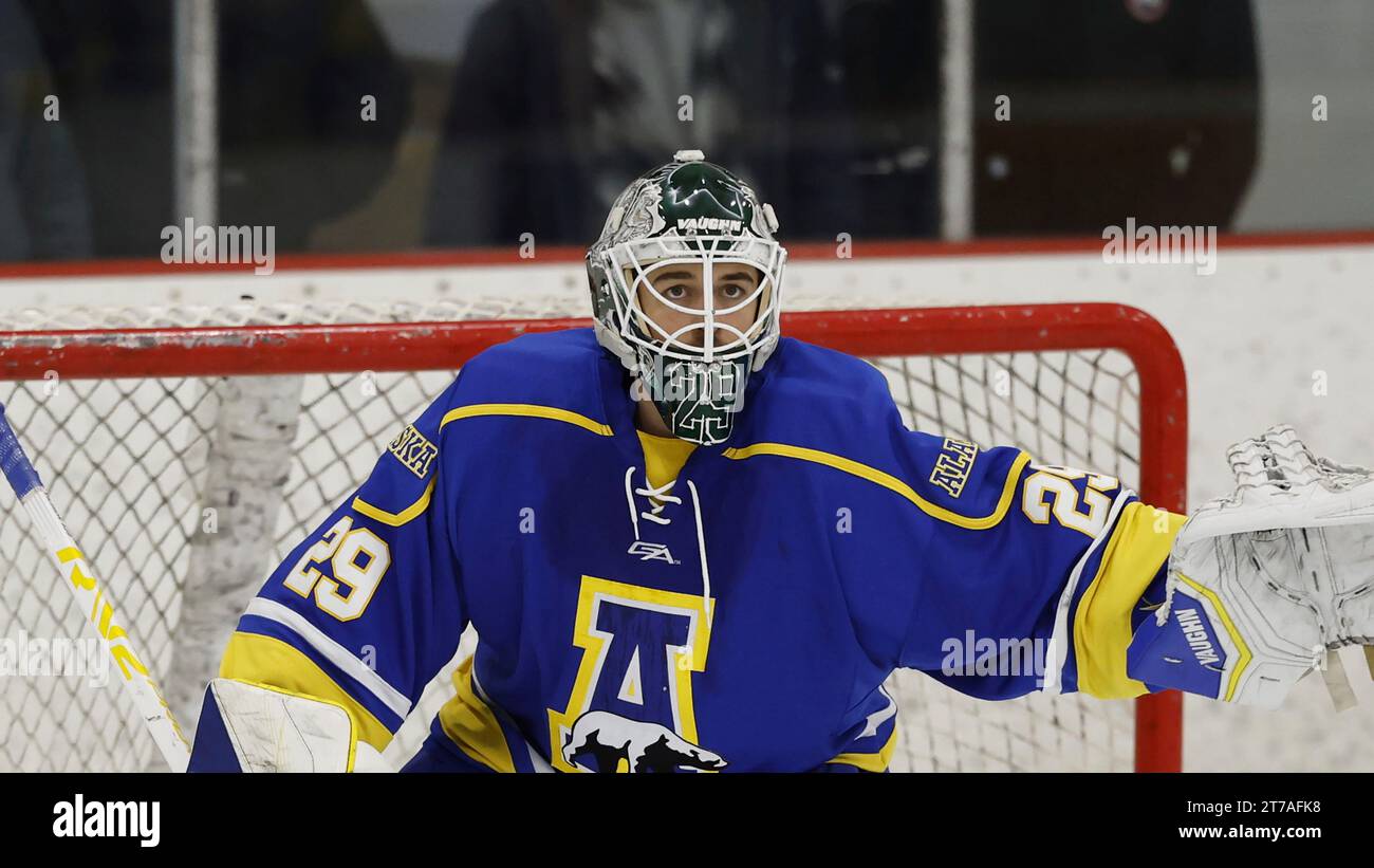 Alaska goalie Pierce Charleson (29) skates during the first period of ...