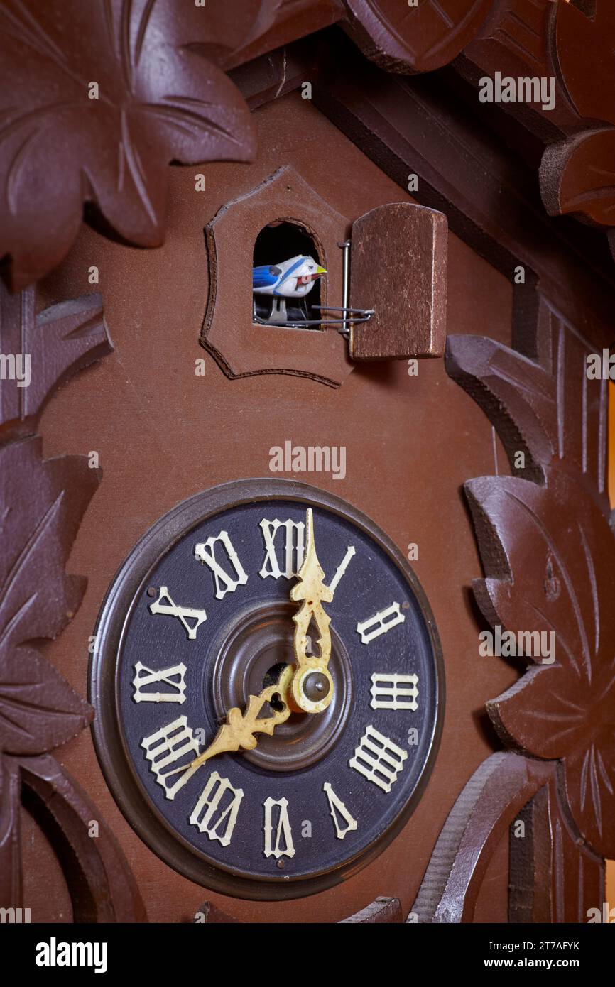 Four o'clock on a traditional wooded Cuckoo clock with a dial with ...