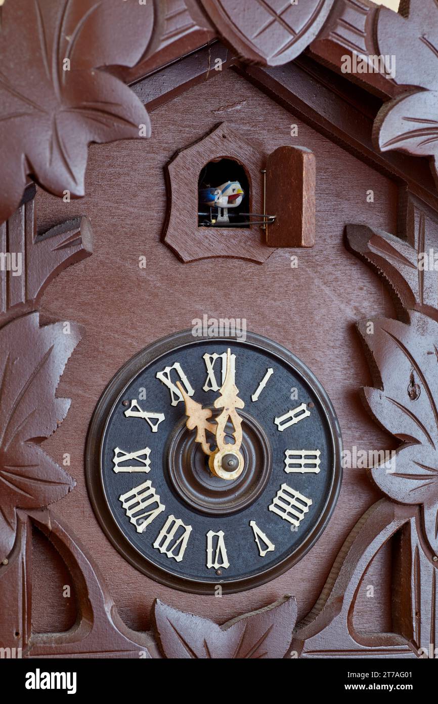 Eleven o'clock on a traditional wooded Cuckoo clock with a dial with ...