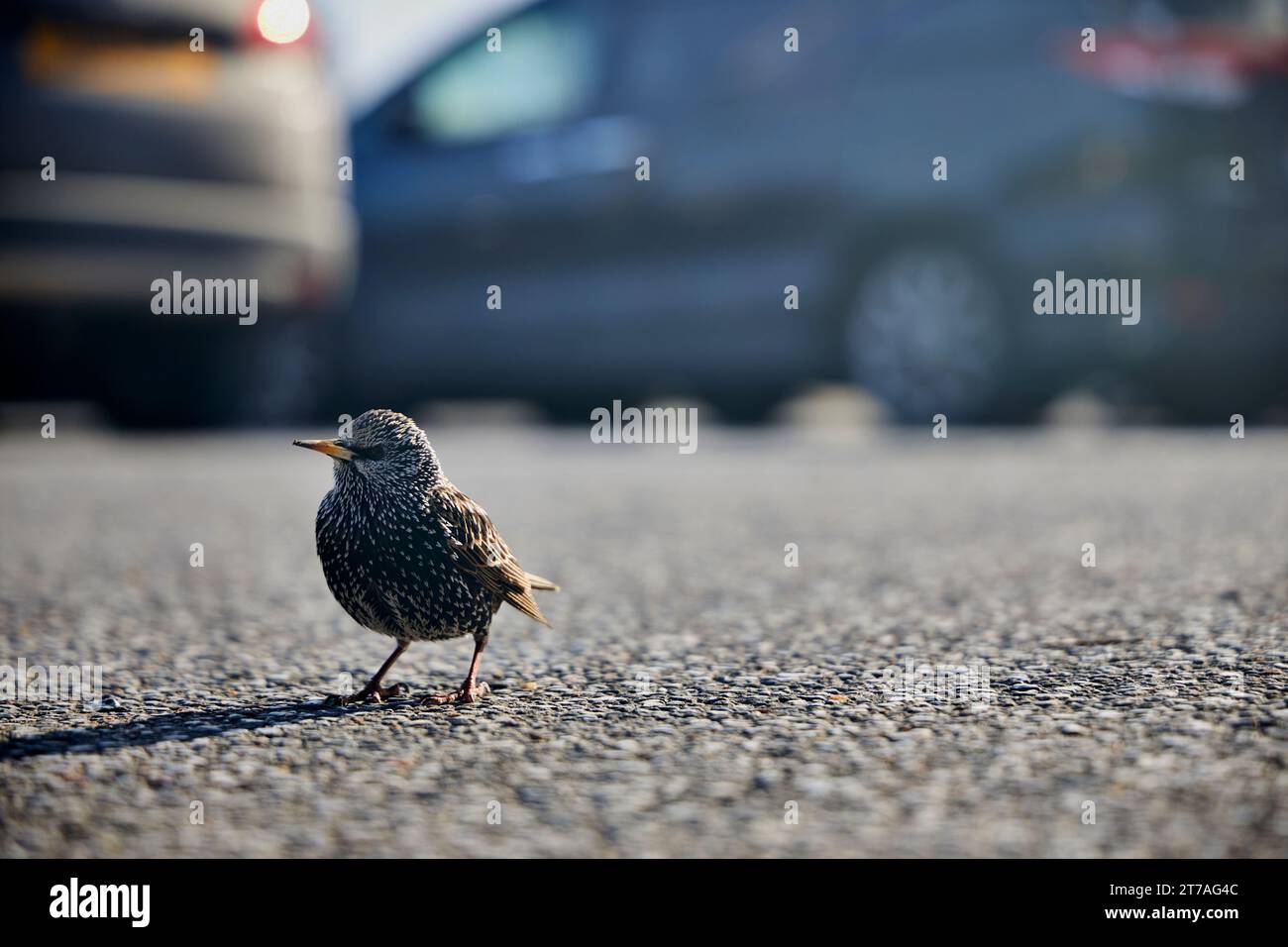 Carpark london hi-res stock photography and images - Alamy