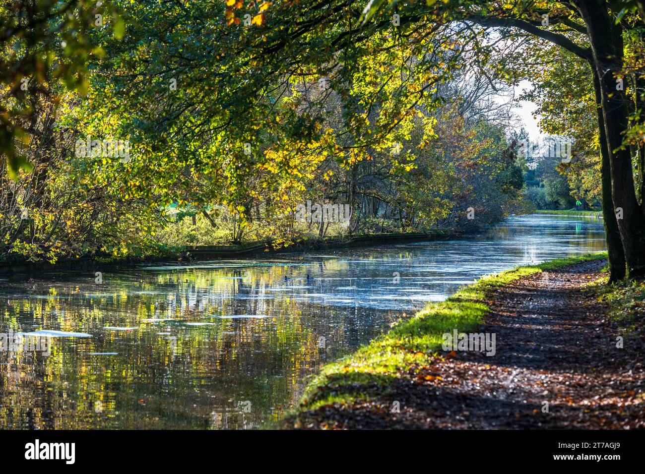 Adlington lancashire hi-res stock photography and images - Alamy