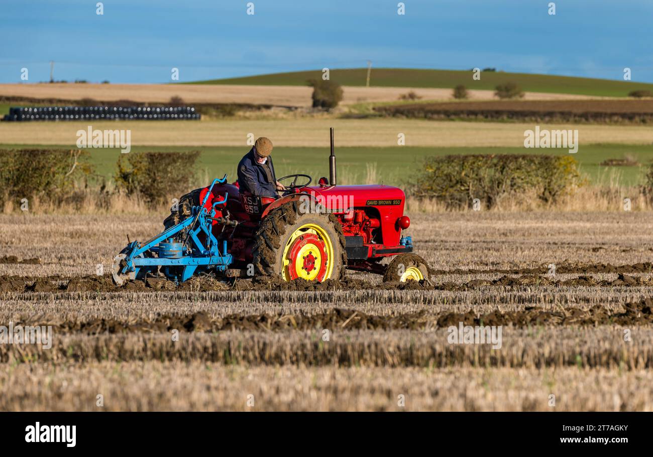 Vintage David Brown tractor ploughing furrows in ploughing match, East ...