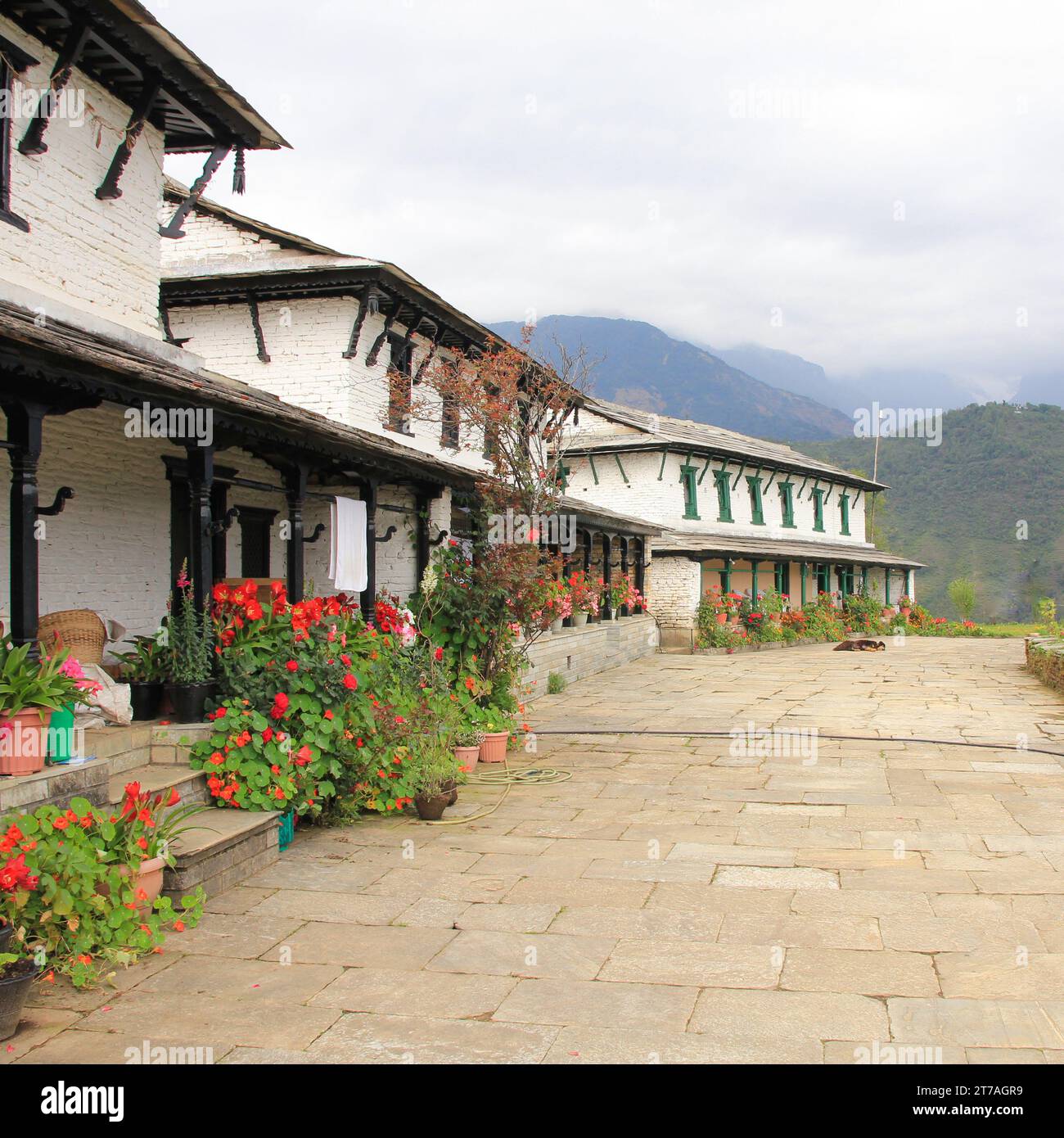 Old Gurung houses with flowers in Ghandruk, Nepal Stock Photo - Alamy