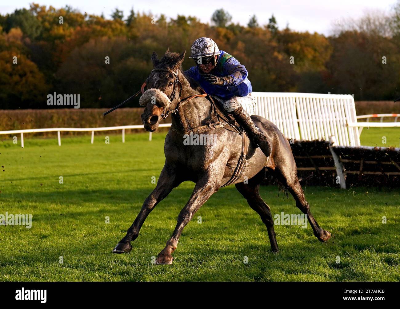 Whydah Gally ridden by jockey Freddie Gingell on their way to winning ...