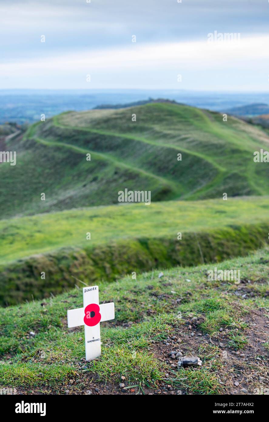 On November 11th,on Armistice day,a memorial tribute,red poppy symbol ...