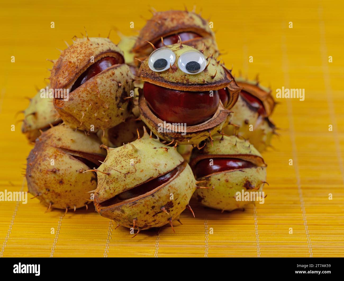 Laughing chestnut with eyes and mouth Stock Photo - Alamy