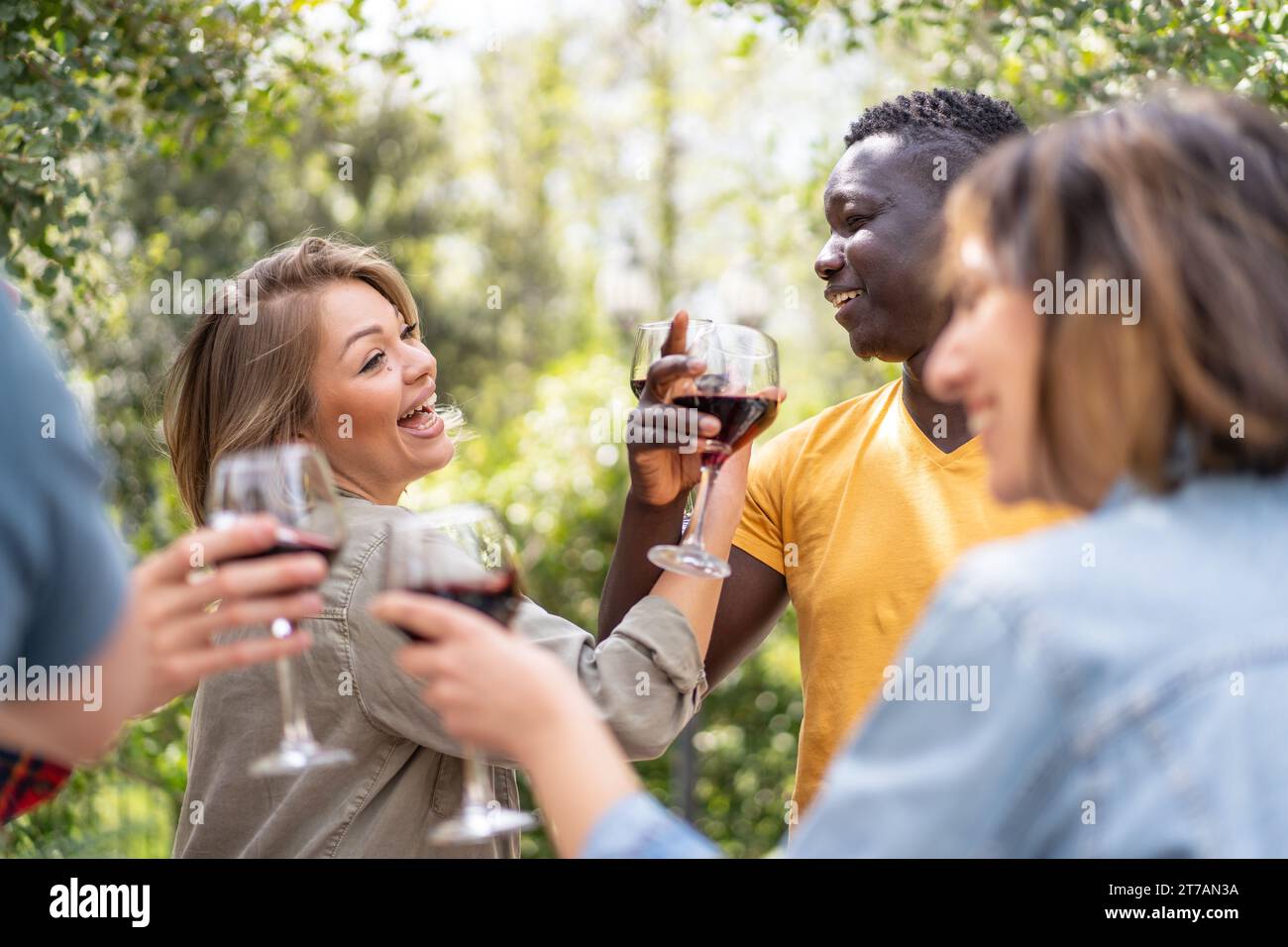 A group of friends toasting with red wine glasses at an outdoor ...