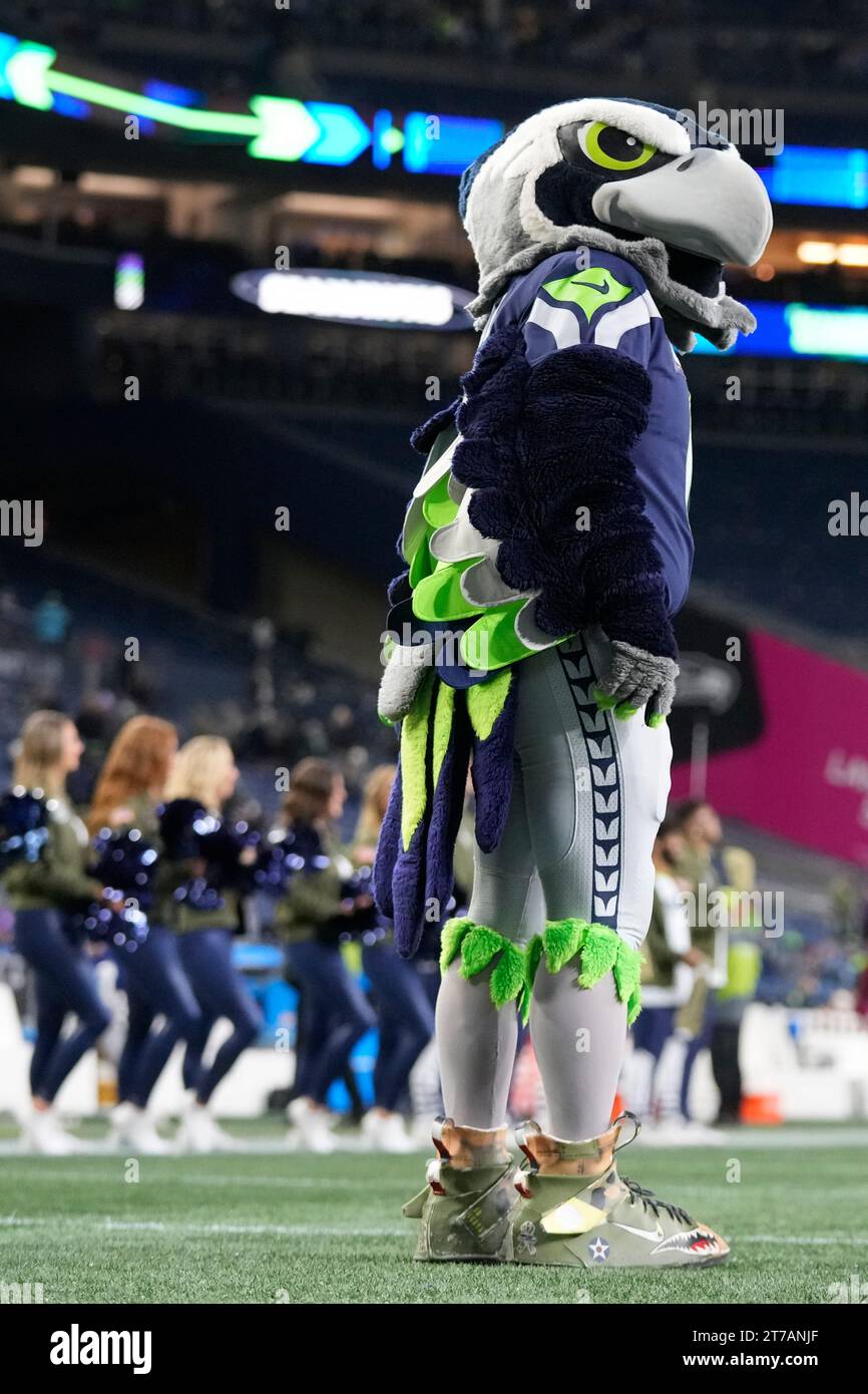 Blitz the Seahawk mascot looks on after an NFL football game against ...