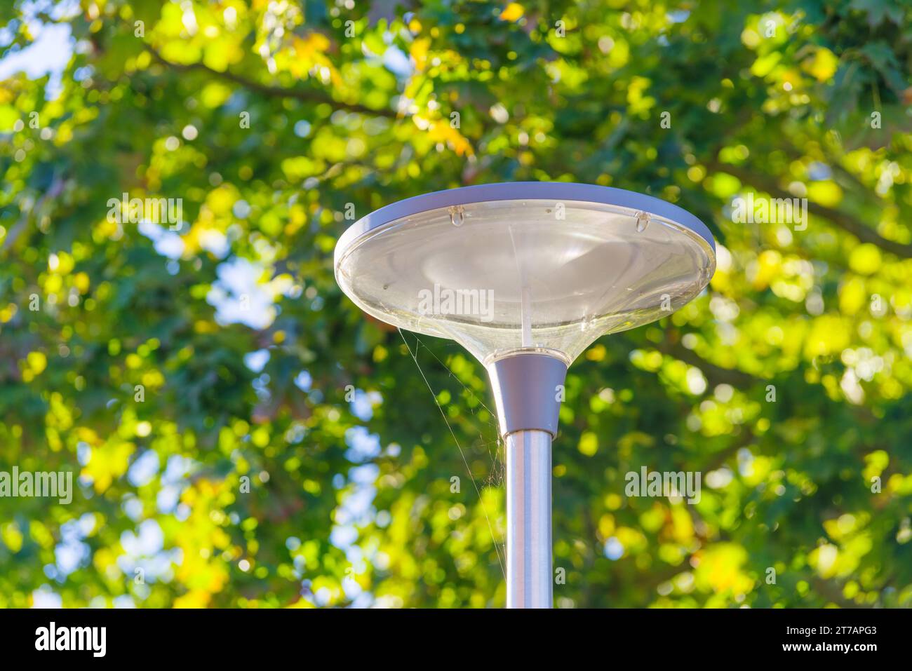 top of a street light Stock Photo - Alamy