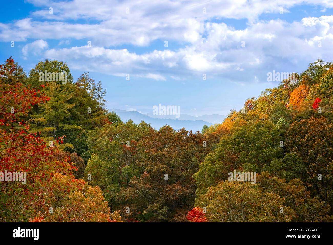 Autumn colors in the mountains of Western North Carolina, mountain ...