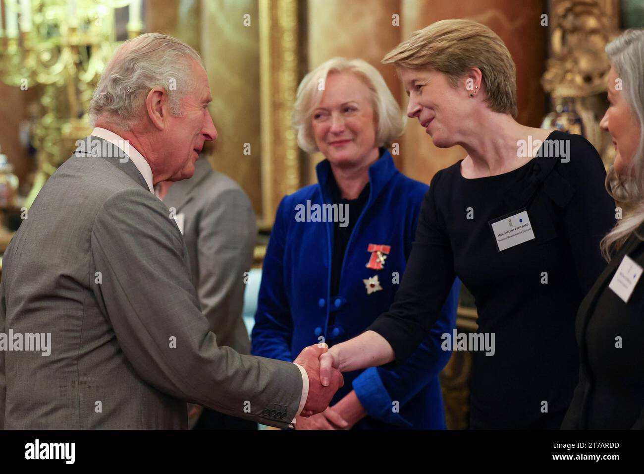 King Charles III greets Chief Nursing Officer (CNO) for England Ruth ...