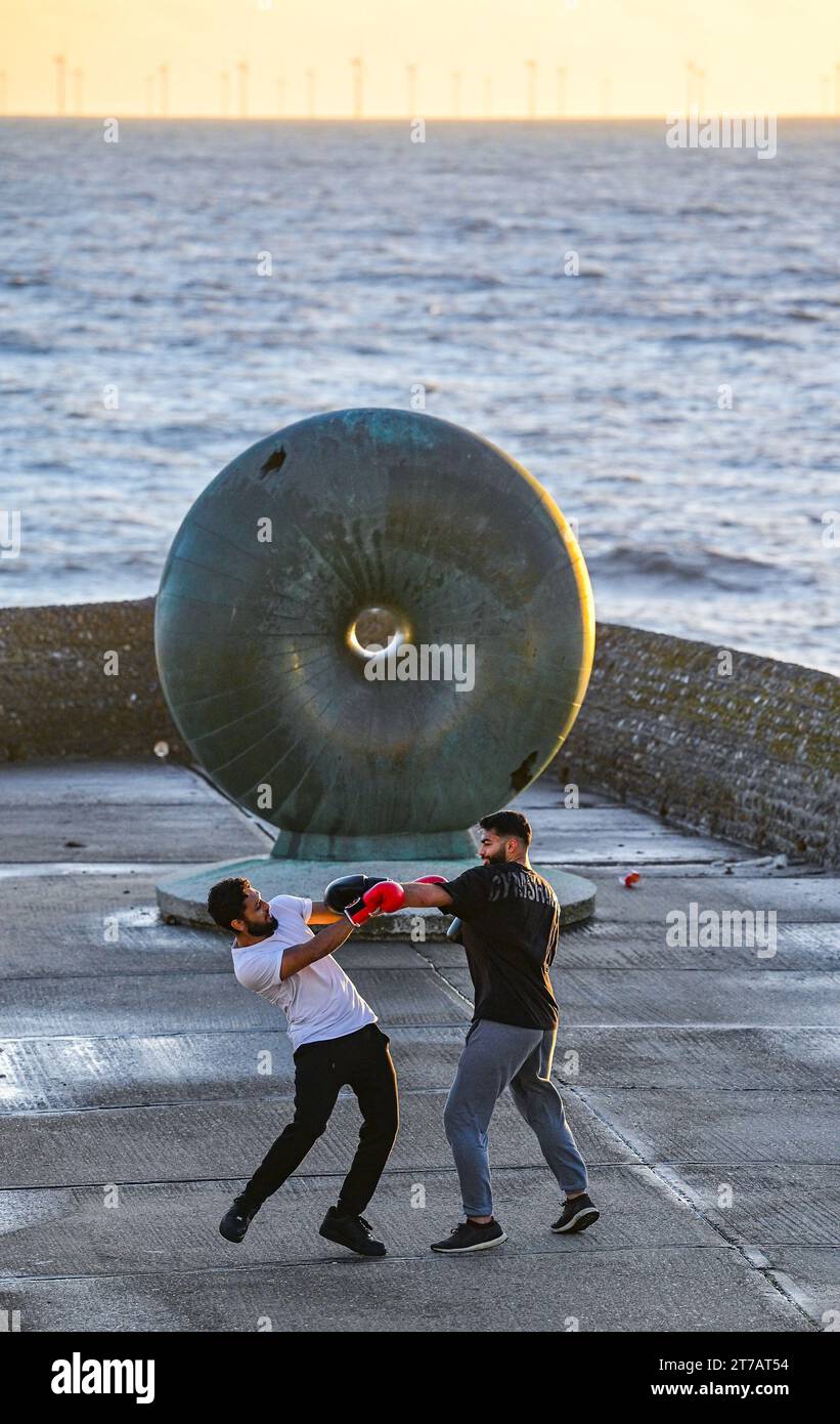 English boxers hi-res stock photography and images - Alamy