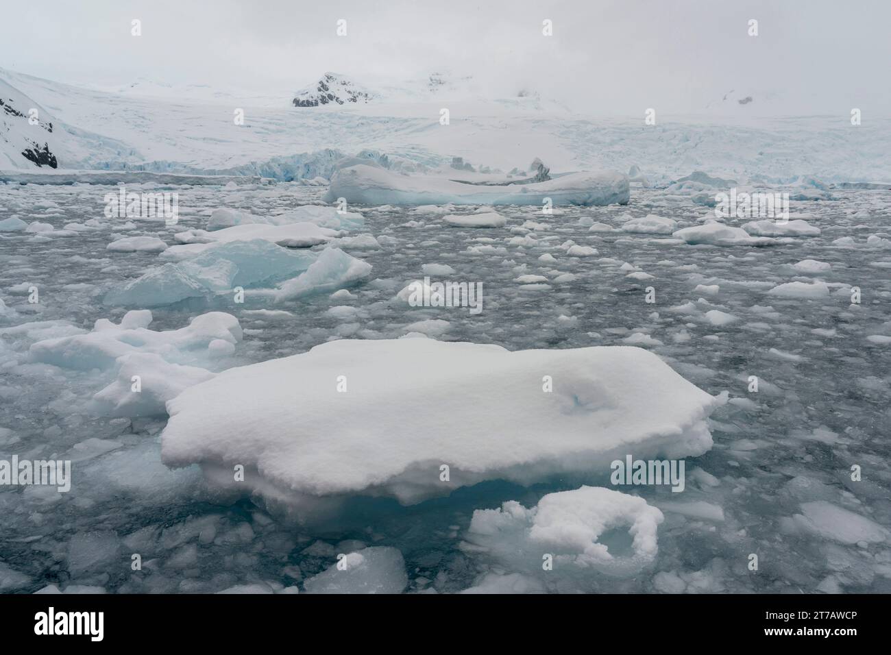 Curtiss Bay, Antarctica Stock Photo - Alamy