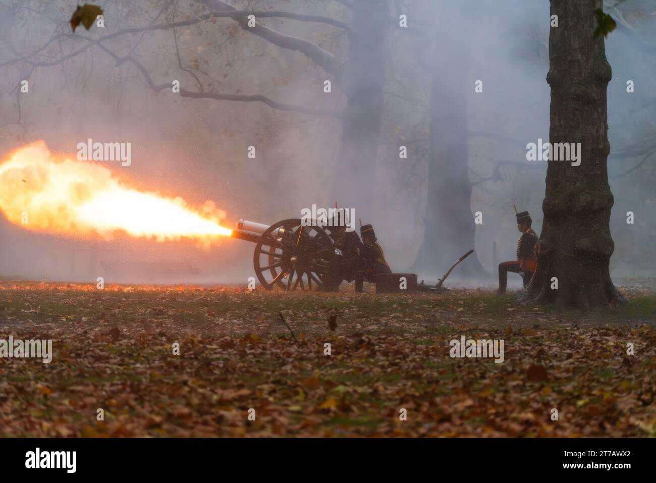 Kings Troop Royal Horse Artillery carried out a 41 gun salute for the ...