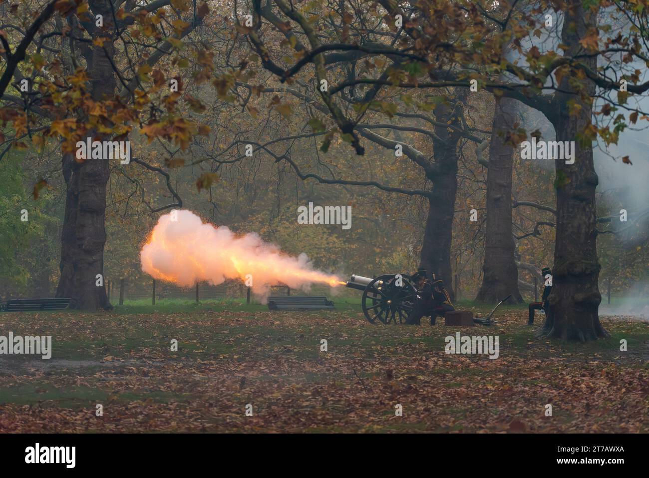 Kings Troop Royal Horse Artillery carried out a 41 gun salute for the ...
