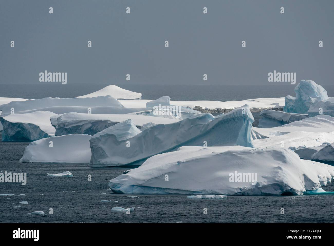 Icebergs, Pleneau Island, Antarctica Stock Photo - Alamy