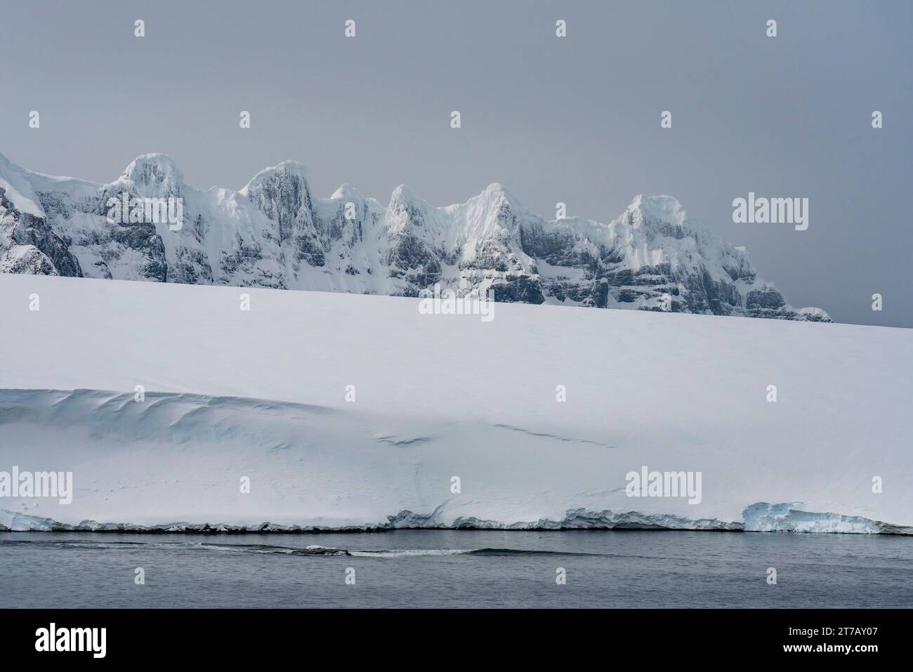 Mountain range at Damoy Point, Wiencke Island, Antarctica Stock Photo ...