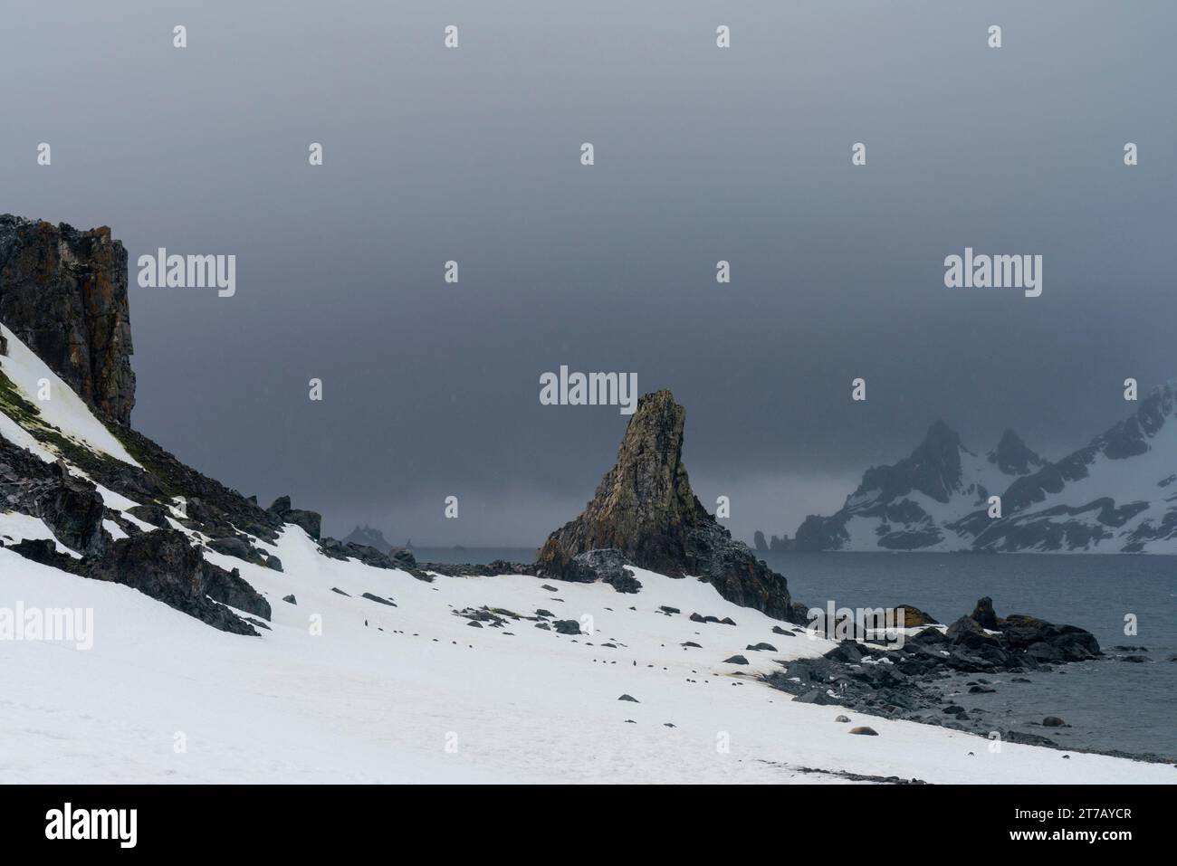 Half Moon Island, Antarctica Stock Photo - Alamy
