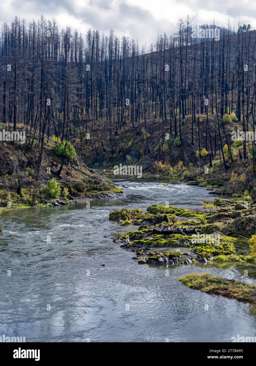 Richard g baker park hi-res stock photography and images - Alamy