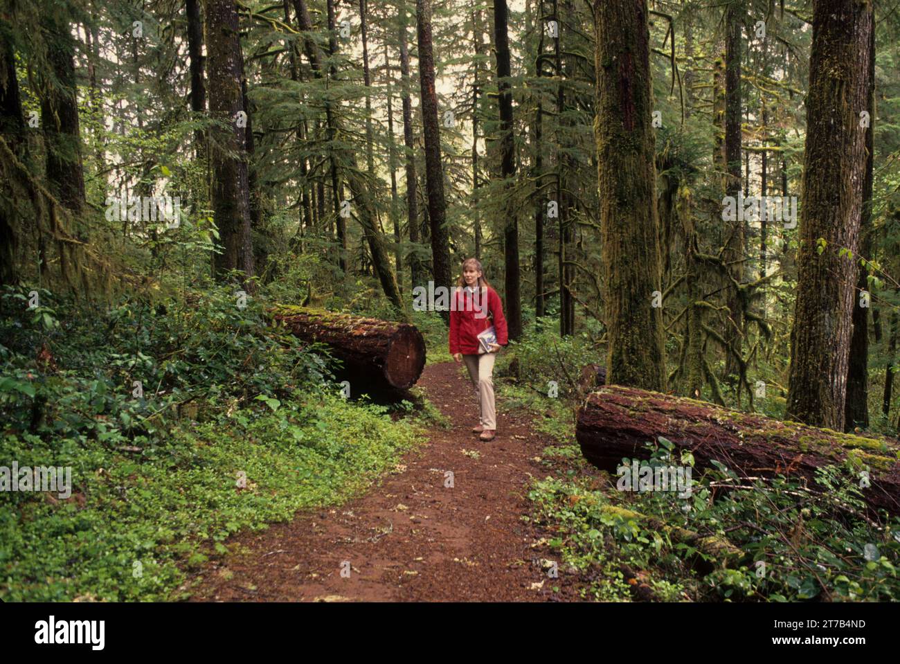 Ancient forest off Clark Butte Trail, Willamette National Forest ...