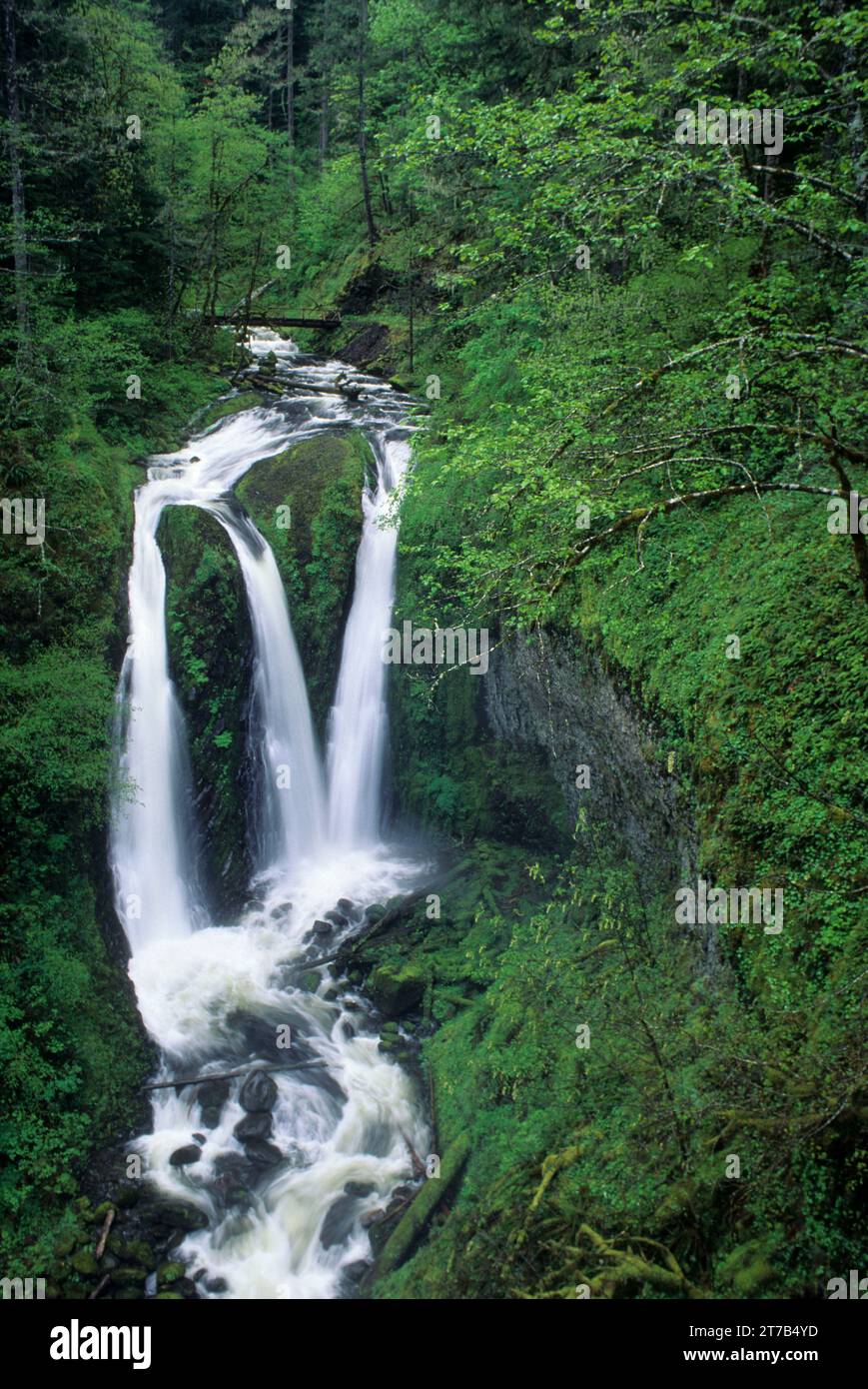 Triple Falls, Mt Hood National Forest, Columbia River Gorge National Scenic Area, Oregon Stock ...