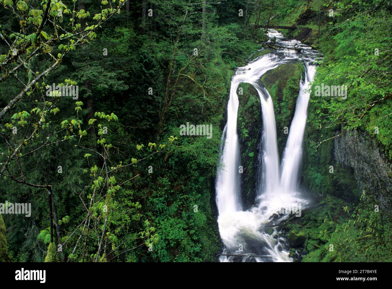 Triple Falls, Mt Hood National Forest, Columbia River Gorge National Scenic Area, Oregon Stock ...