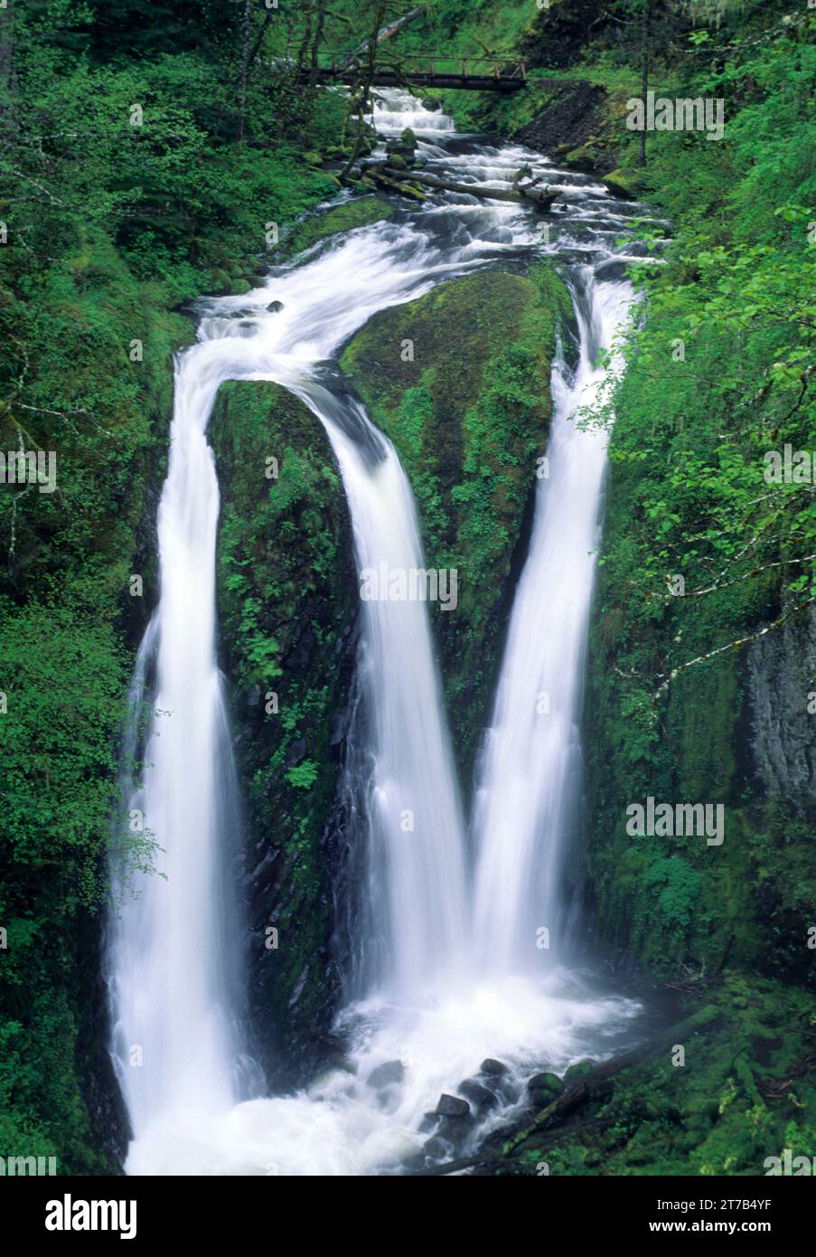 Triple Falls, Columbia River Gorge National Scenic Area, Oregon (pre-fire Stock Photo - Alamy