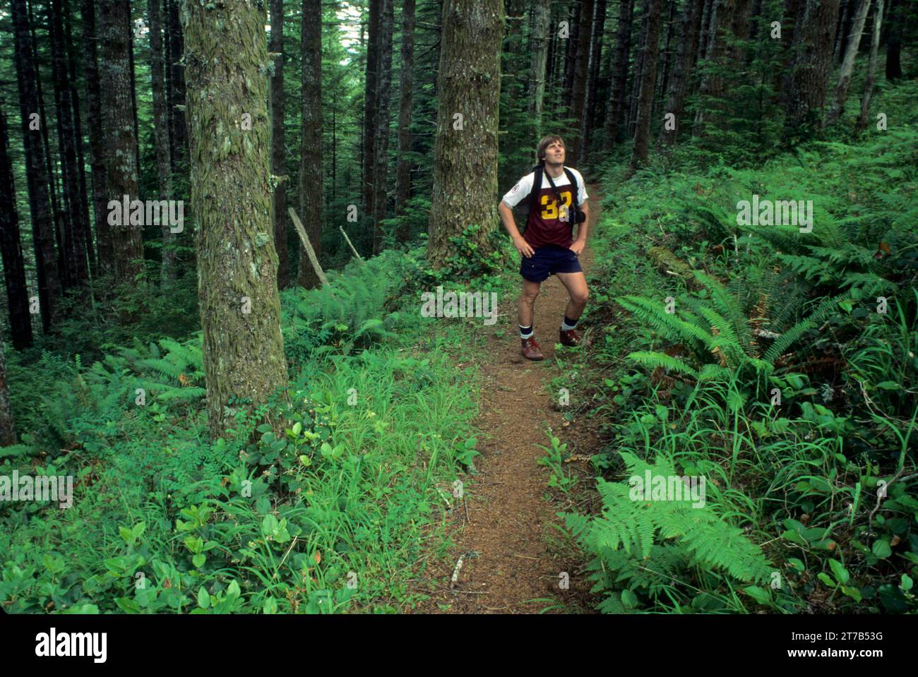 Cummins Ridge Trail, Cummins Creek Wilderness, Siuslaw National Forest ...