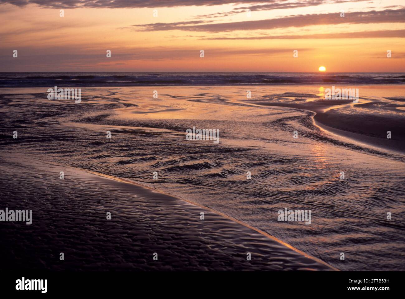Cummins Creek, Neptune State Park, Oregon Stock Photo - Alamy