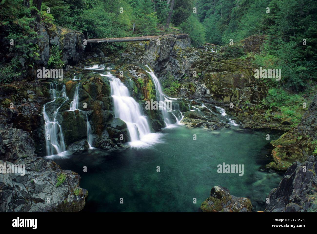 Sawmill Falls (Cascada de Los Ninos on Little North Fork Santiam River ...