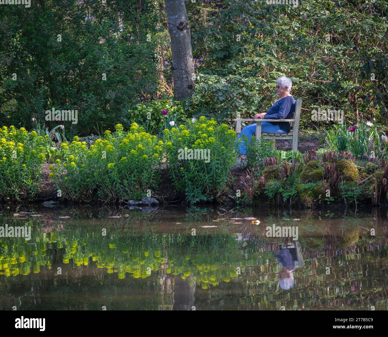 View of the lakes and plants at Longstock Water Gardens, Stockbridge ...
