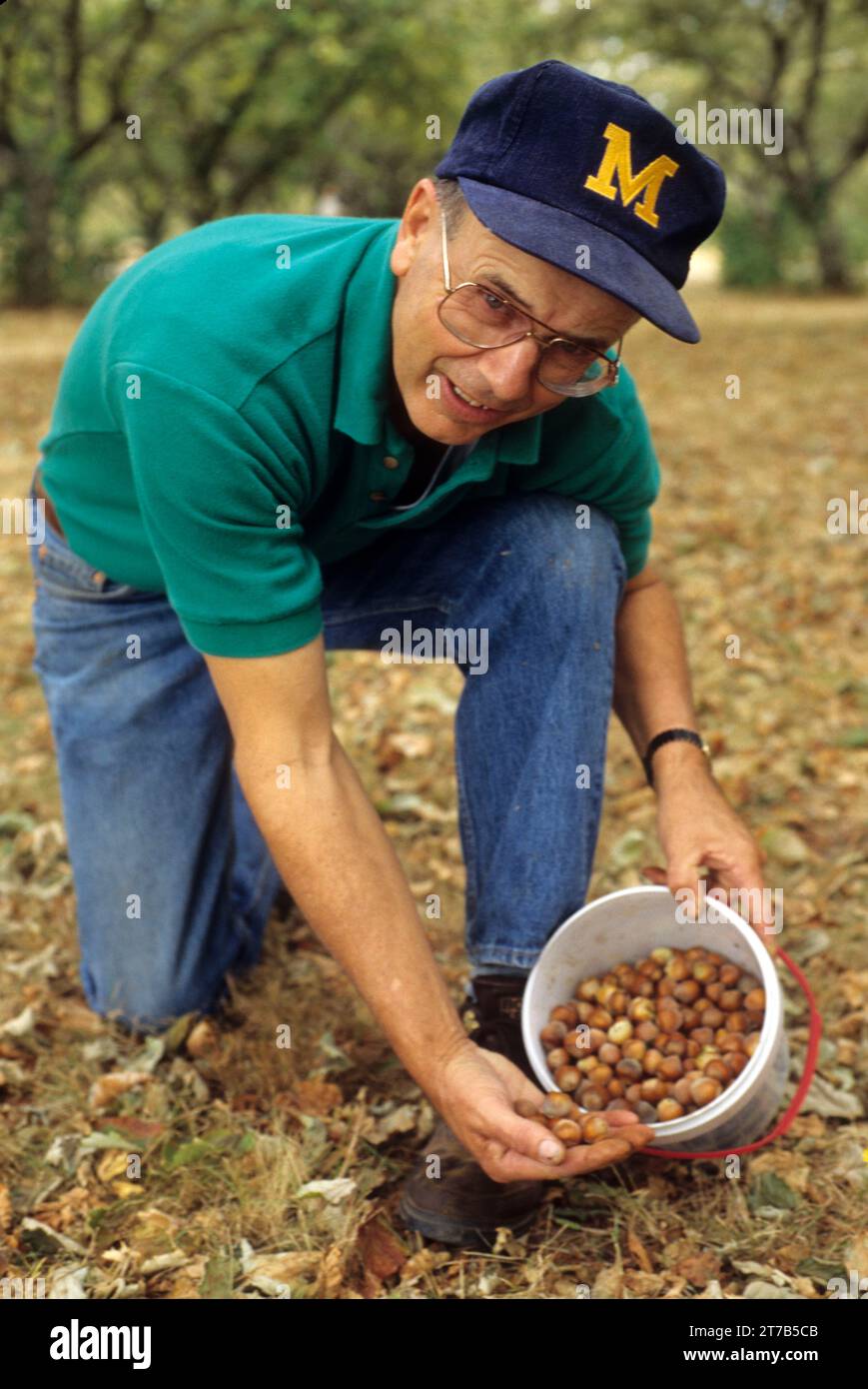 Hazelnut collecting, Willamette Mission State Park, Oregon Stock Photo ...