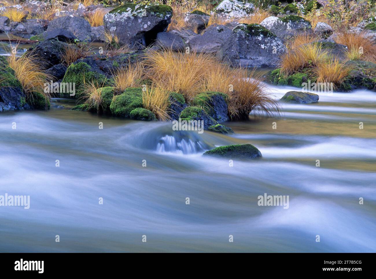 Clackamas Wild and Scenic River, Mt Hood National Forest, Oregon Stock ...