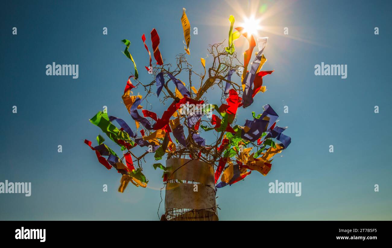 A vibrant image of a tree adorned with colorful kites, creating a ...