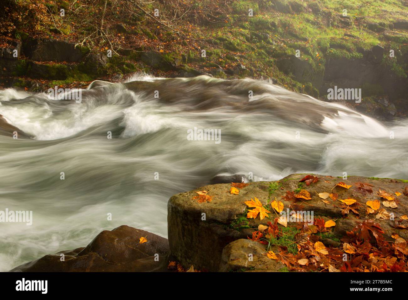 Michael harding park hi-res stock photography and images - Alamy