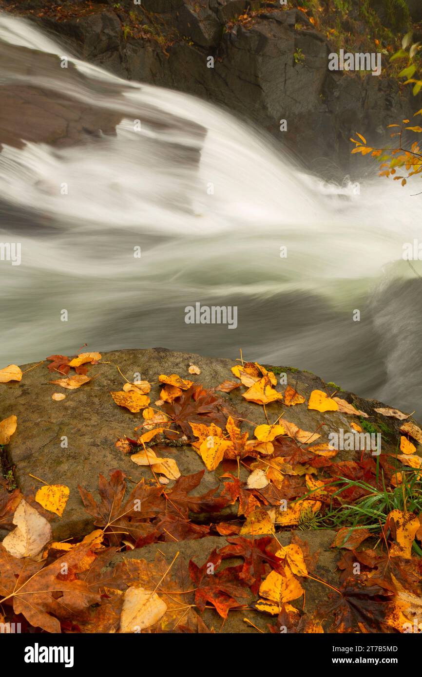 Michael harding park hi-res stock photography and images - Alamy