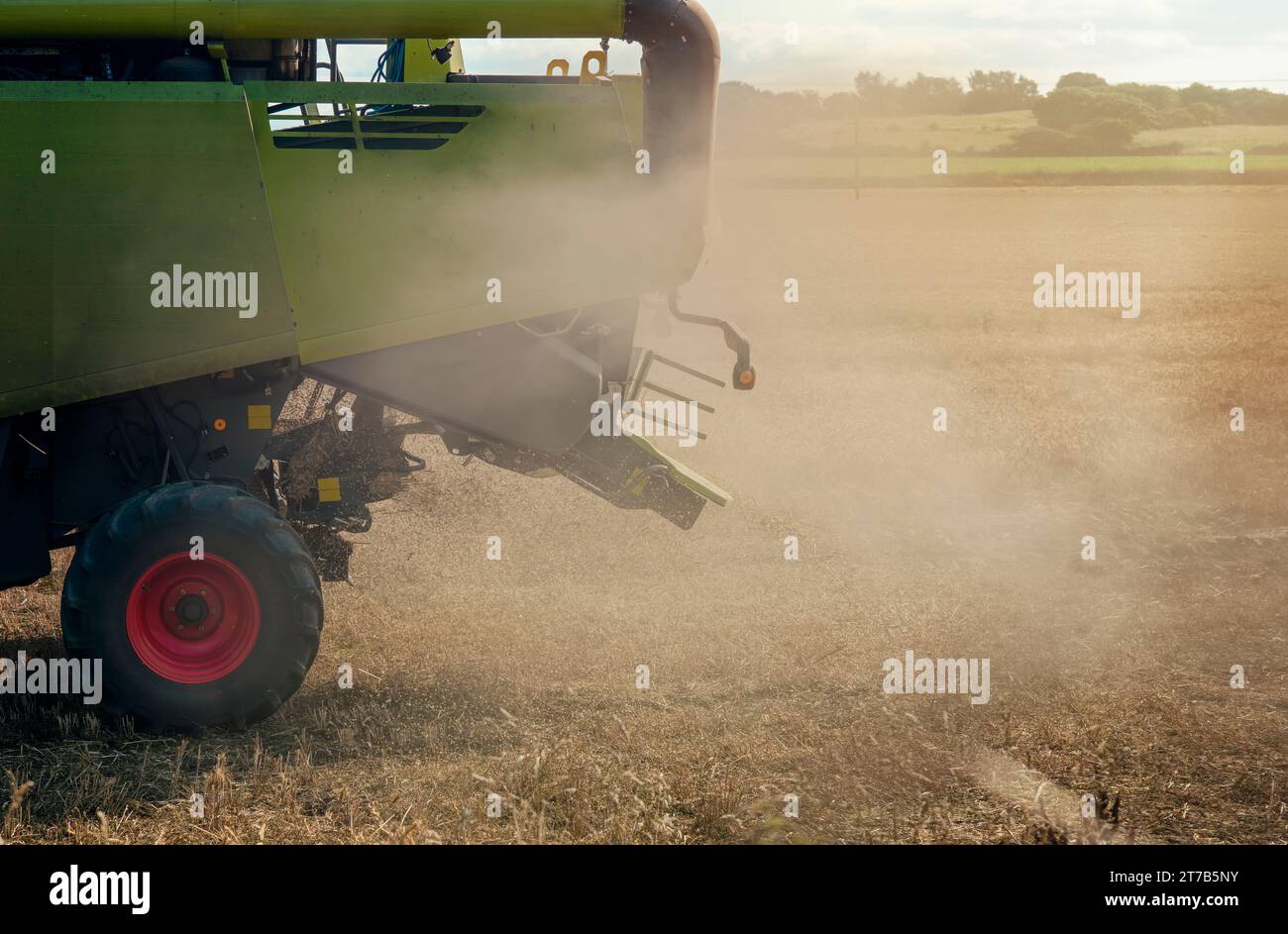 Wheat harvesting in the summer season by a modern combine harvester ...