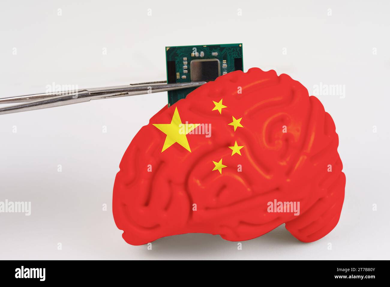 On a white background, a model of the brain with a picture of a flag ...