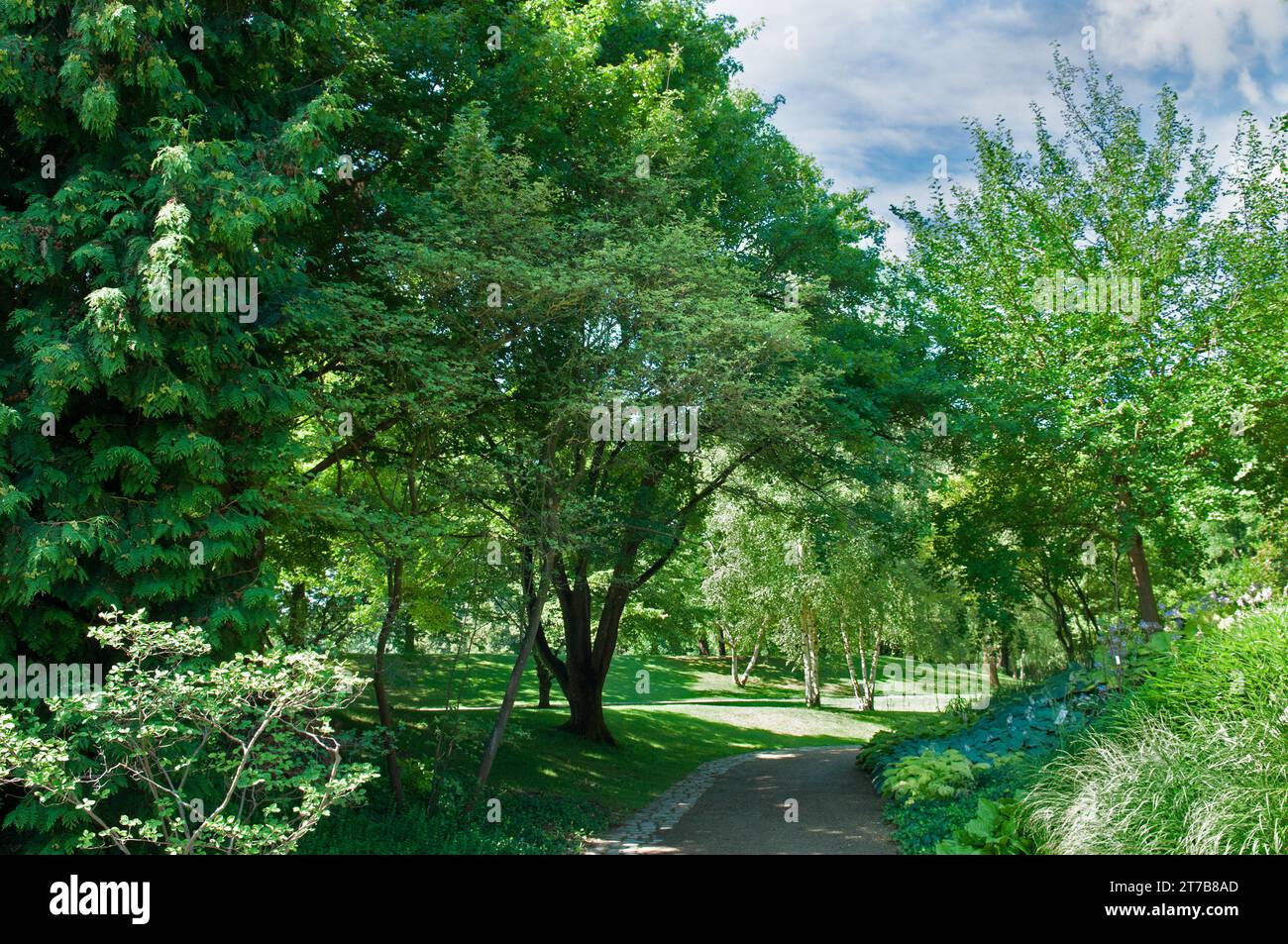 Shady summer garden with cozy alleys Stock Photo - Alamy