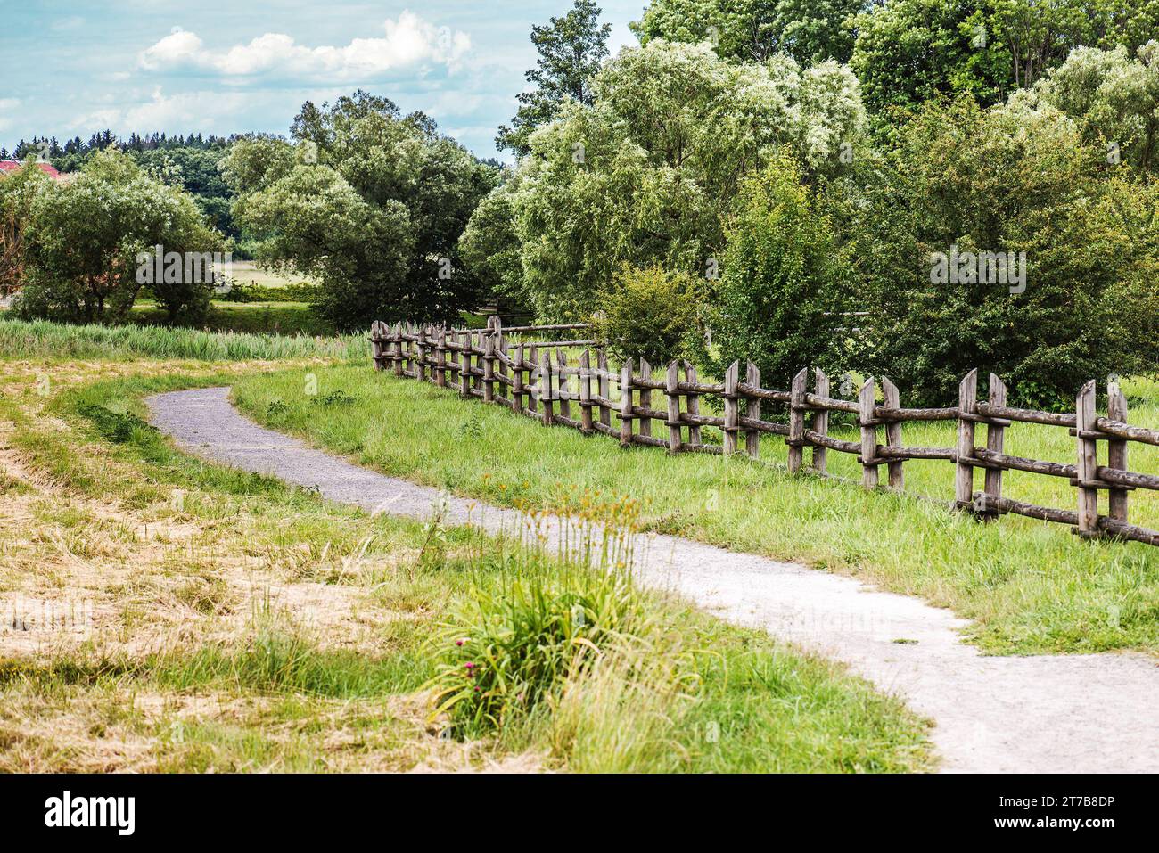 Wooden log and hedge background hi-res stock photography and images - Alamy