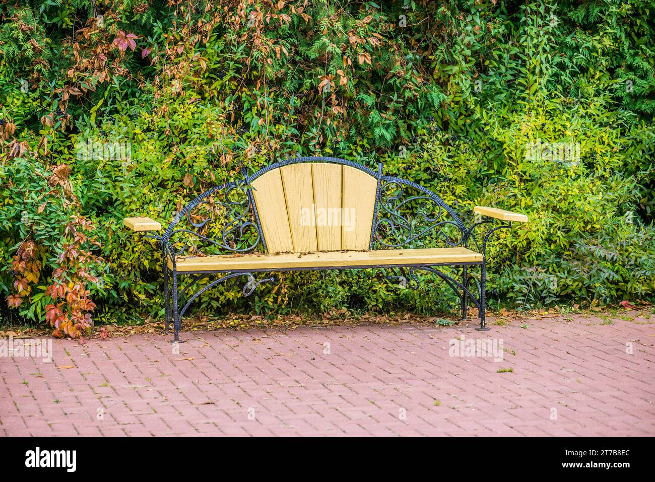 Beautiful forged metal benches with wooden seats in the old yellow ...