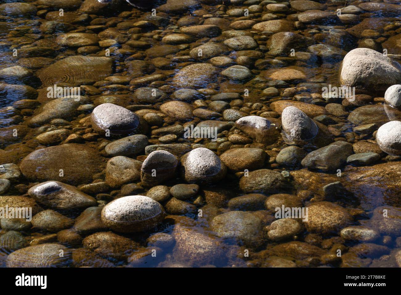 Gravel, stones, and rocks in River. Clear river. Mud in the river can ...