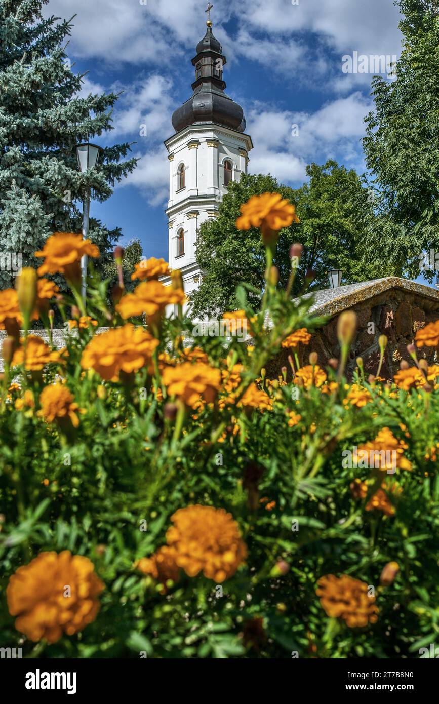 Bell tower of Cathedral of Assumption of Virgin Mary (Pinsk, Belarus ...