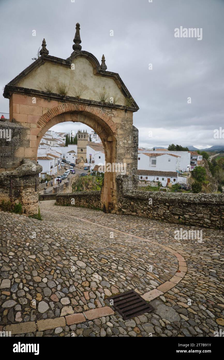 Stone pathway lined with an ornate gate leading up to a stately castle ...