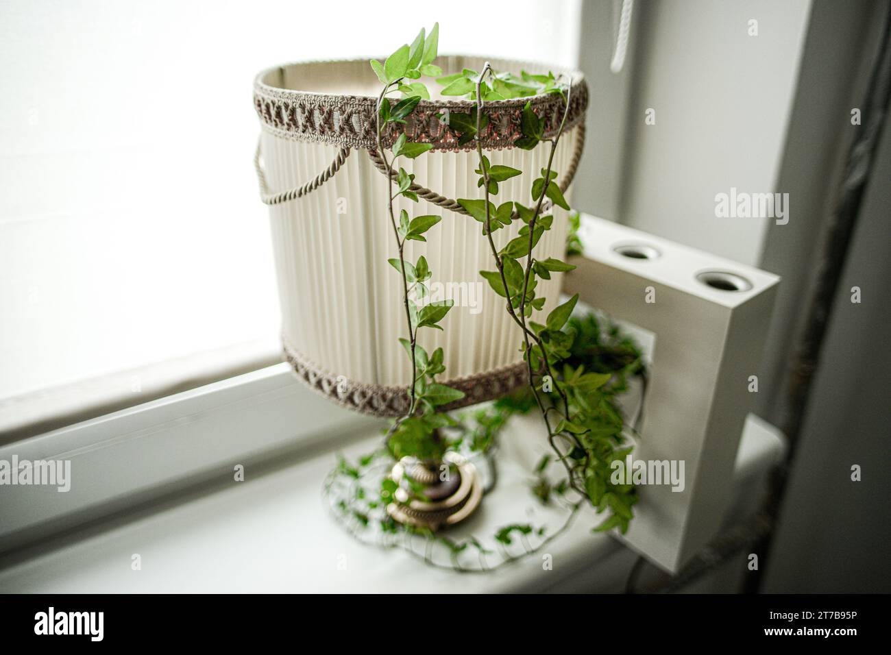 Lamp on a window sill. Daylighting. Window. Green leaves Stock Photo ...