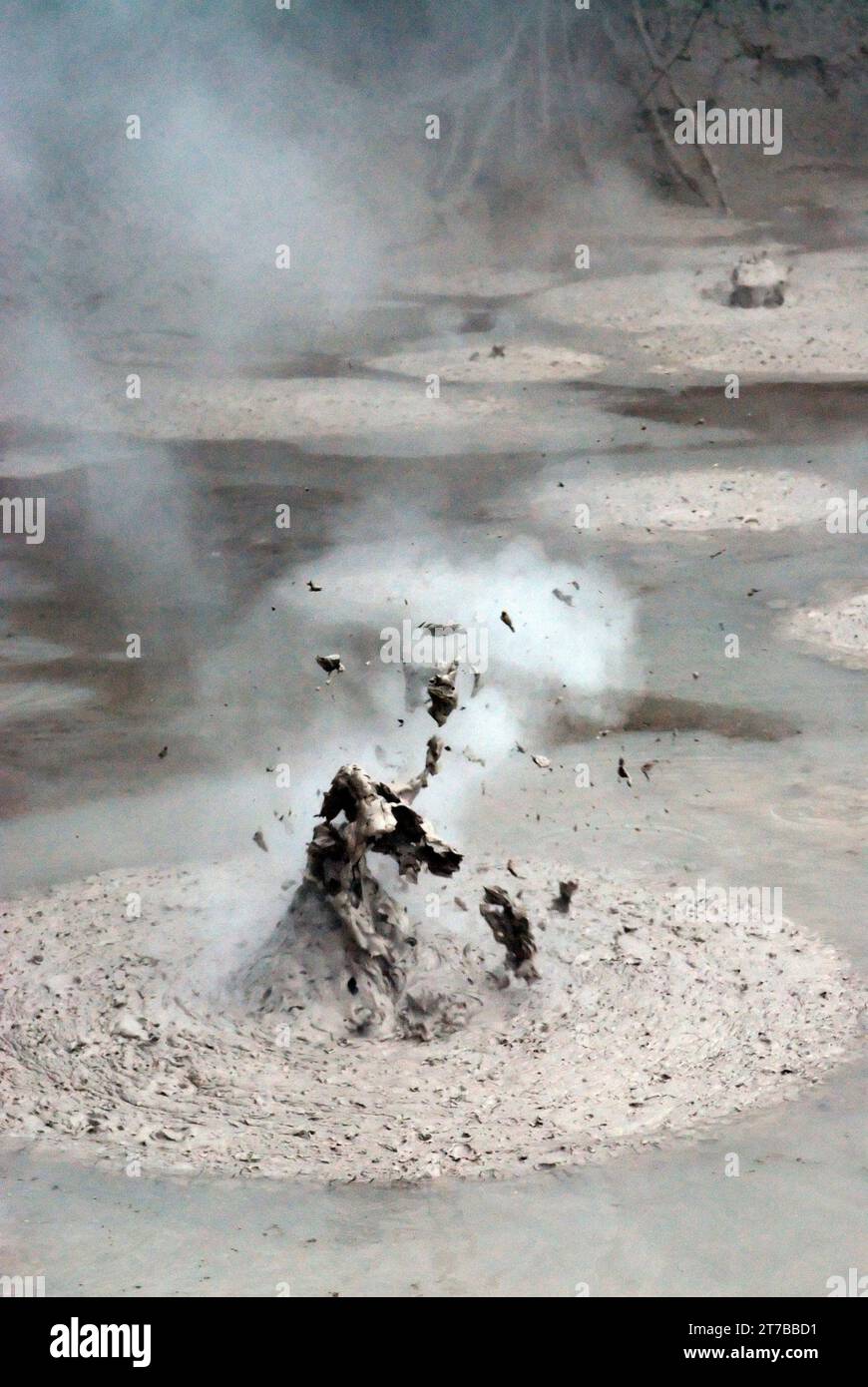 Close up shot of thick boiling mud pool, Wai-O-Tapu Thermal Wonderland ...