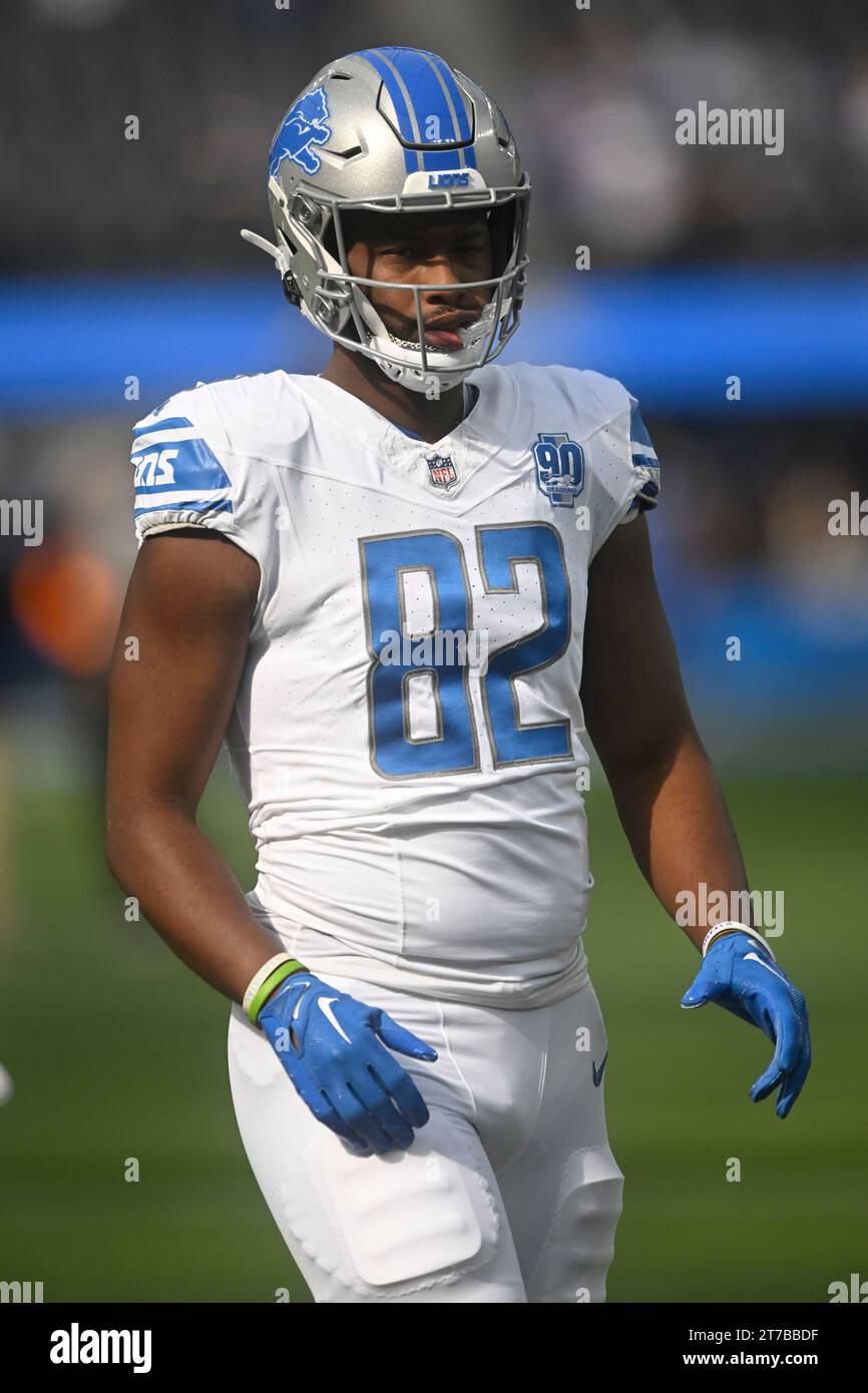 Detroit Lions tight end James Mitchell (82) warms-up before an NFL ...